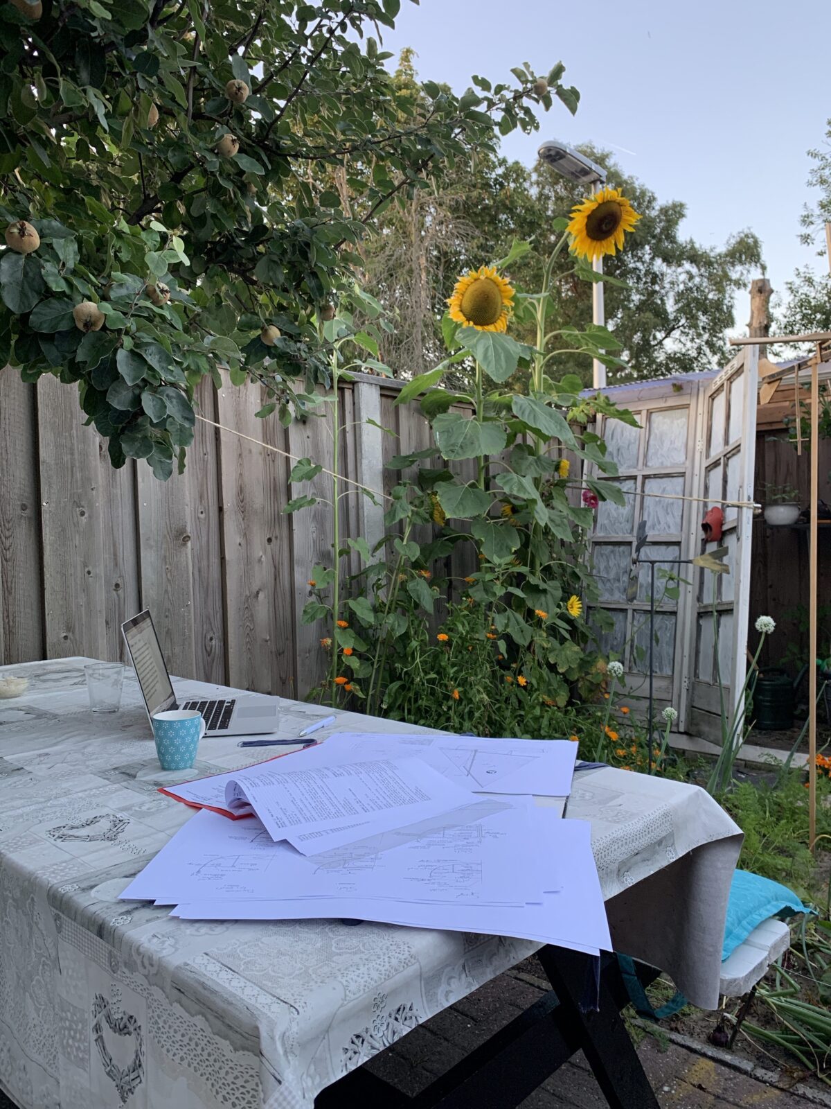 Morbic 12 – François Vivier – Hart van hout